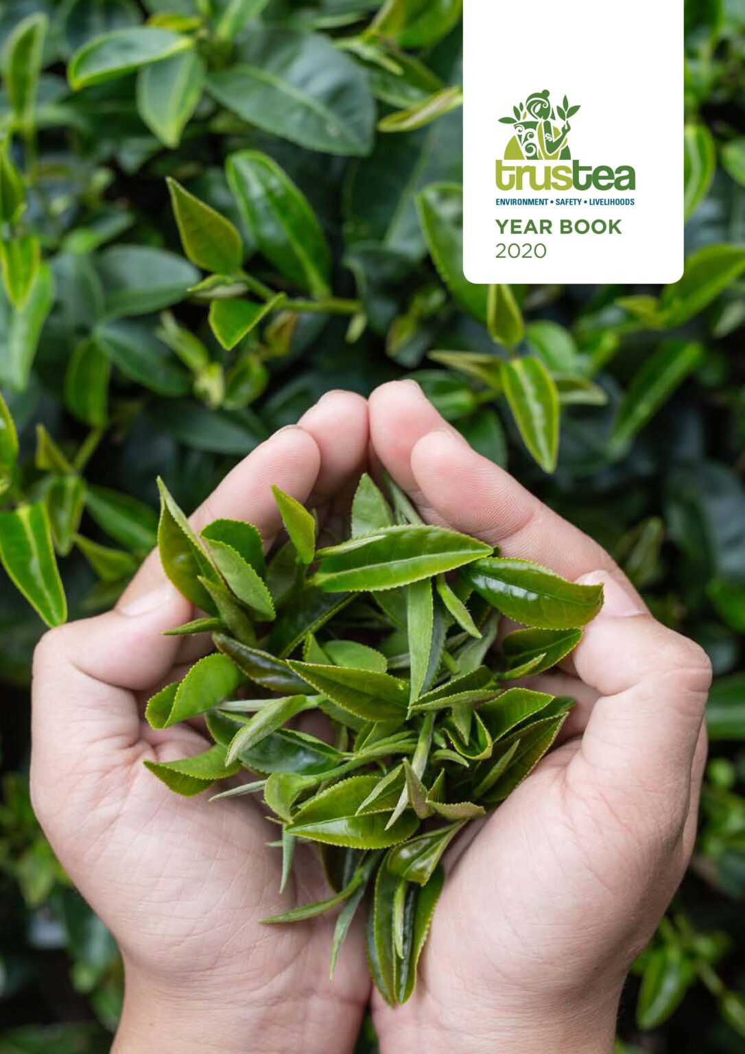 Trustea Year Book 2020